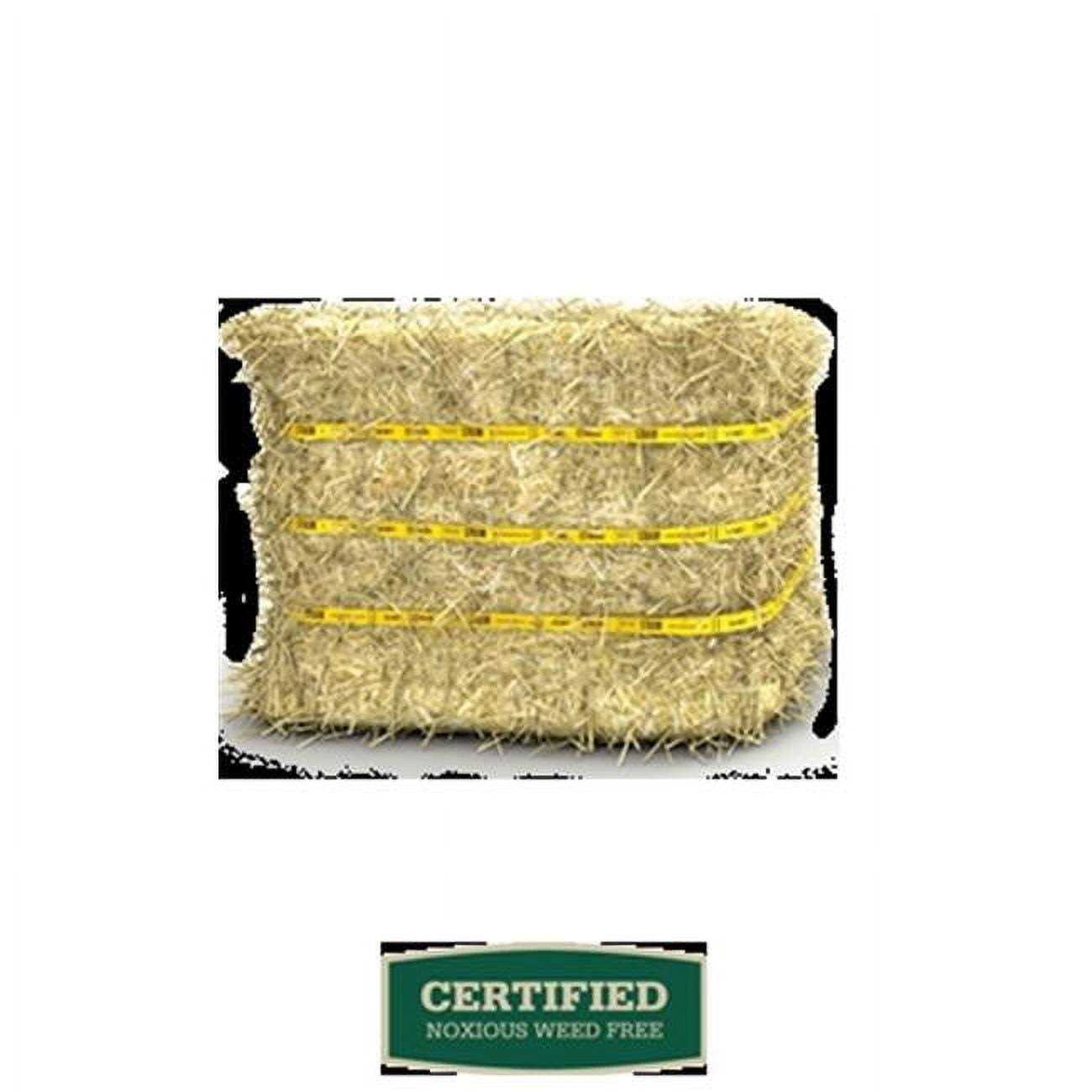 Standlee Premium Western Forage Certified Straw Compressed Bale ...