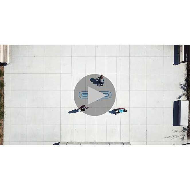 Spinner Shark Drifting Kneeboard Ride On Caster Board for Kids - Sports ...