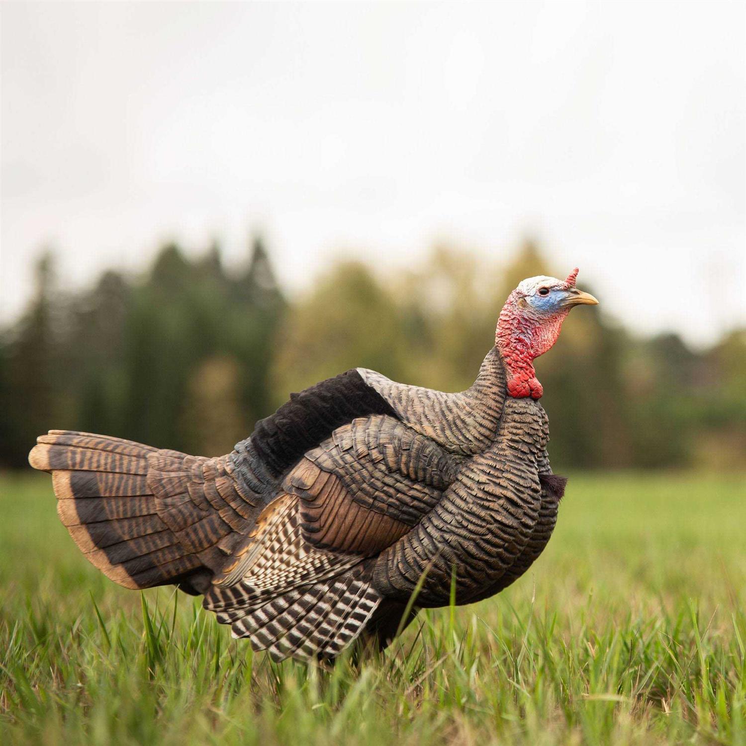 Dave Smith Decoys 3/4 Strut Jake Decoy - Sports Supplies Online Store