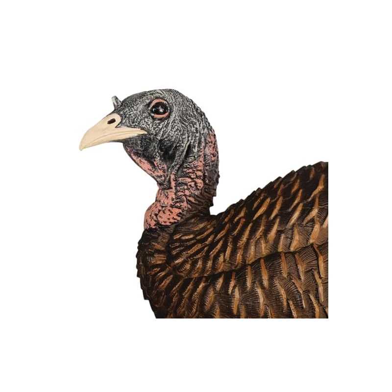 Flextone Thunder Chick Breeder/Feeder Hen Turkey - Sports Supplies ...