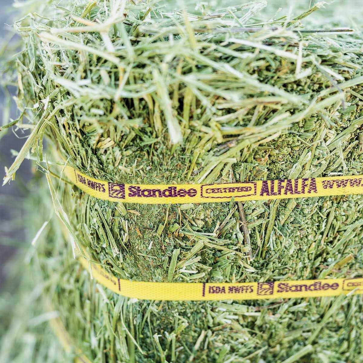 Standlee Premium Alfalfa Grab & Go Compressed Bale - Sports Supplies ...