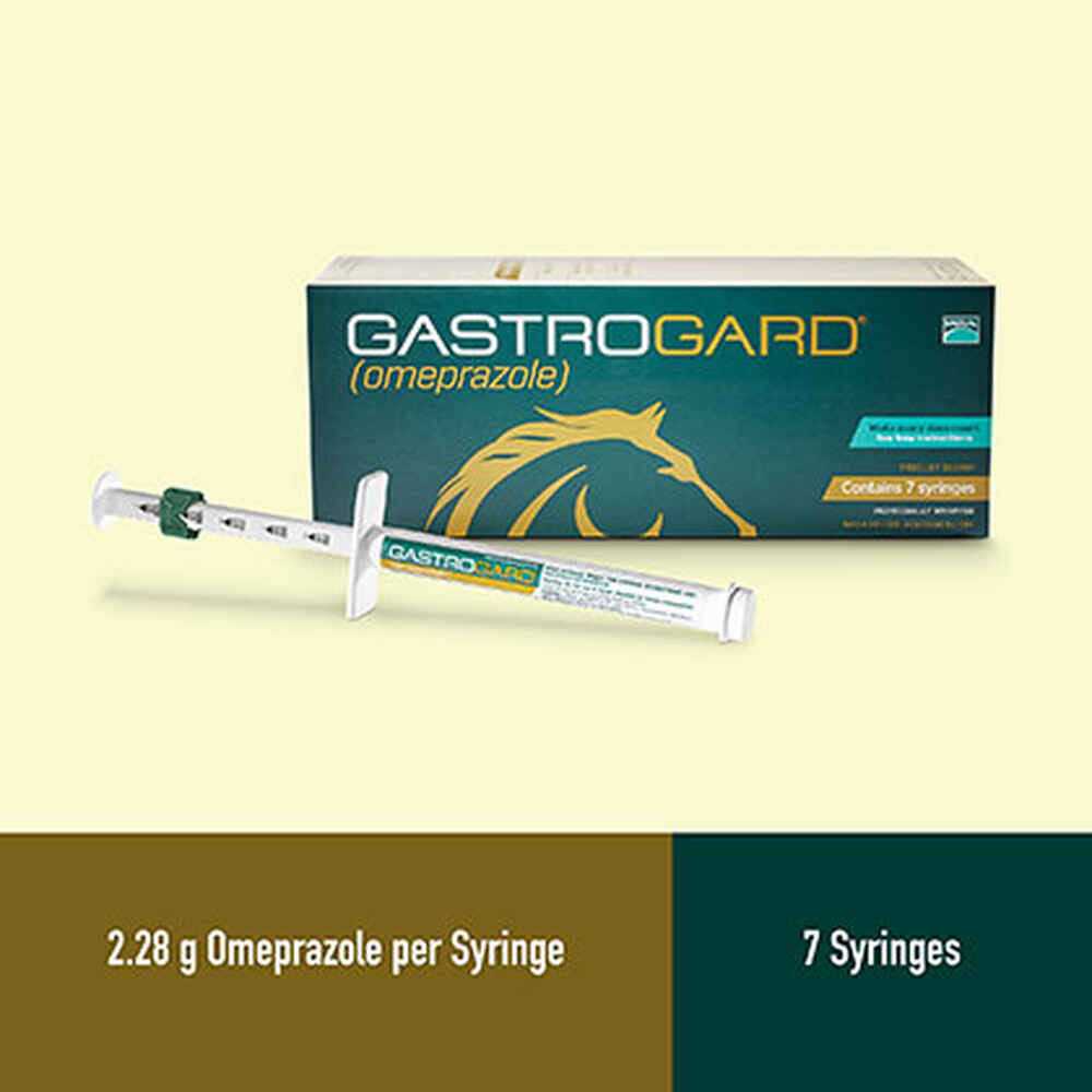 Gastrogard 1 Syringe For Horse - Sports Supplies Online Store