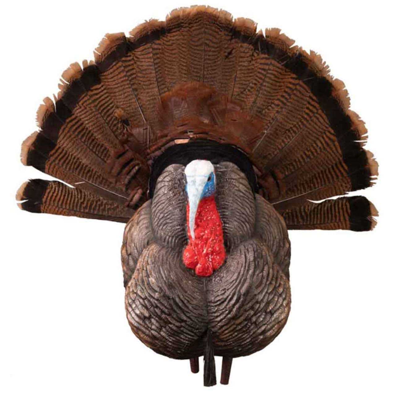 Higdon Outdoors Apex Strutter Hard Body Turkey Decoy - Sports Supplies ...