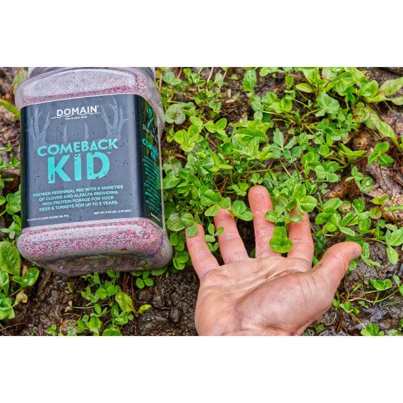 Domain Outdoor Comeback Kid Food Plot Mix - Sports Supplies Online Store