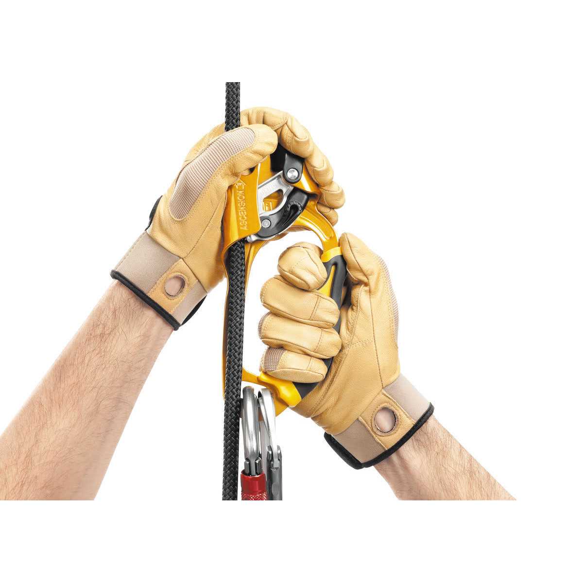 Petzl Ascension Ascender - Sports Supplies Online Store