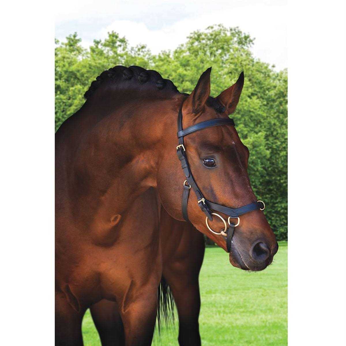 Rambo Micklem Multibridle - Sports Supplies Online Store