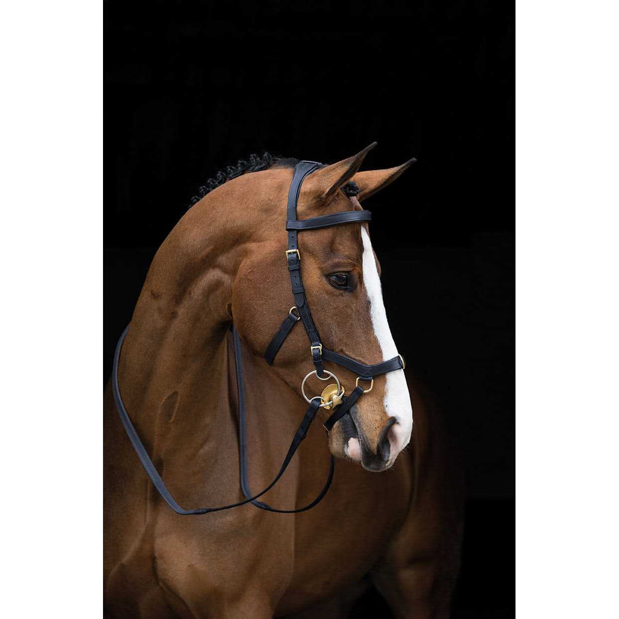 Rambo Micklem Multibridle - Sports Supplies Online Store