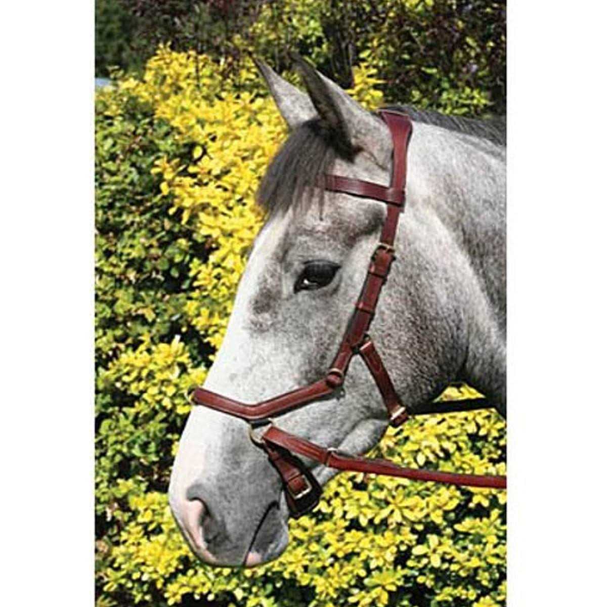 Rambo Micklem Multibridle - Sports Supplies Online Store