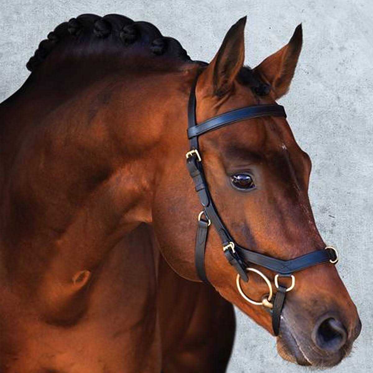 Rambo Micklem Multibridle - Sports Supplies Online Store