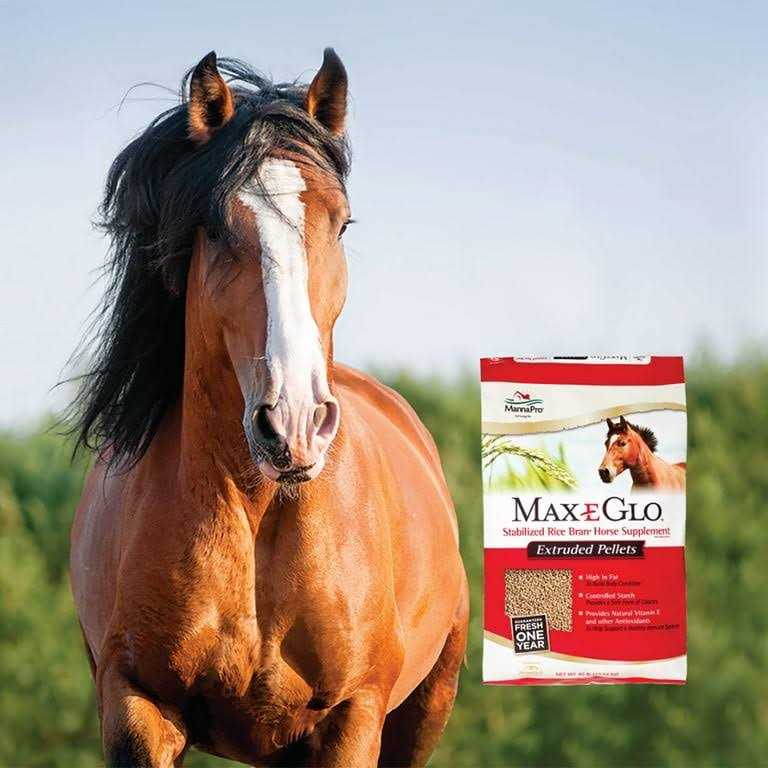 Manna Pro Max-E Glo Stabilized Rice Bran - Sports Supplies Online Store