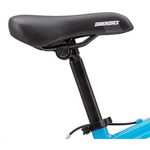 Diamondback Bicycles Octane 20 Youth 20 Wheel Mountain Bike - Sports ...