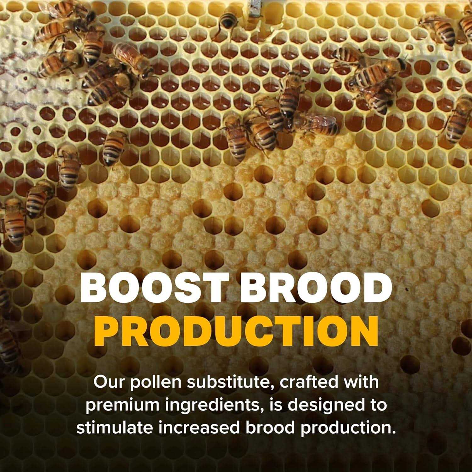 Mann Lake FD210 Ultra Bee Dry Feed Pail - Sports Supplies Online Store