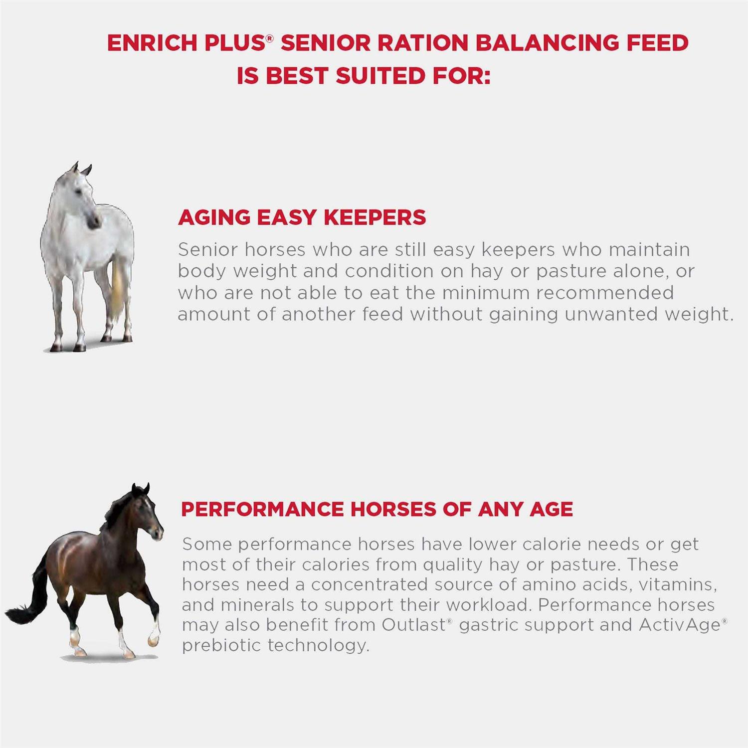 Purina Enrich Plus Senior Ration - Sports Supplies Online Store