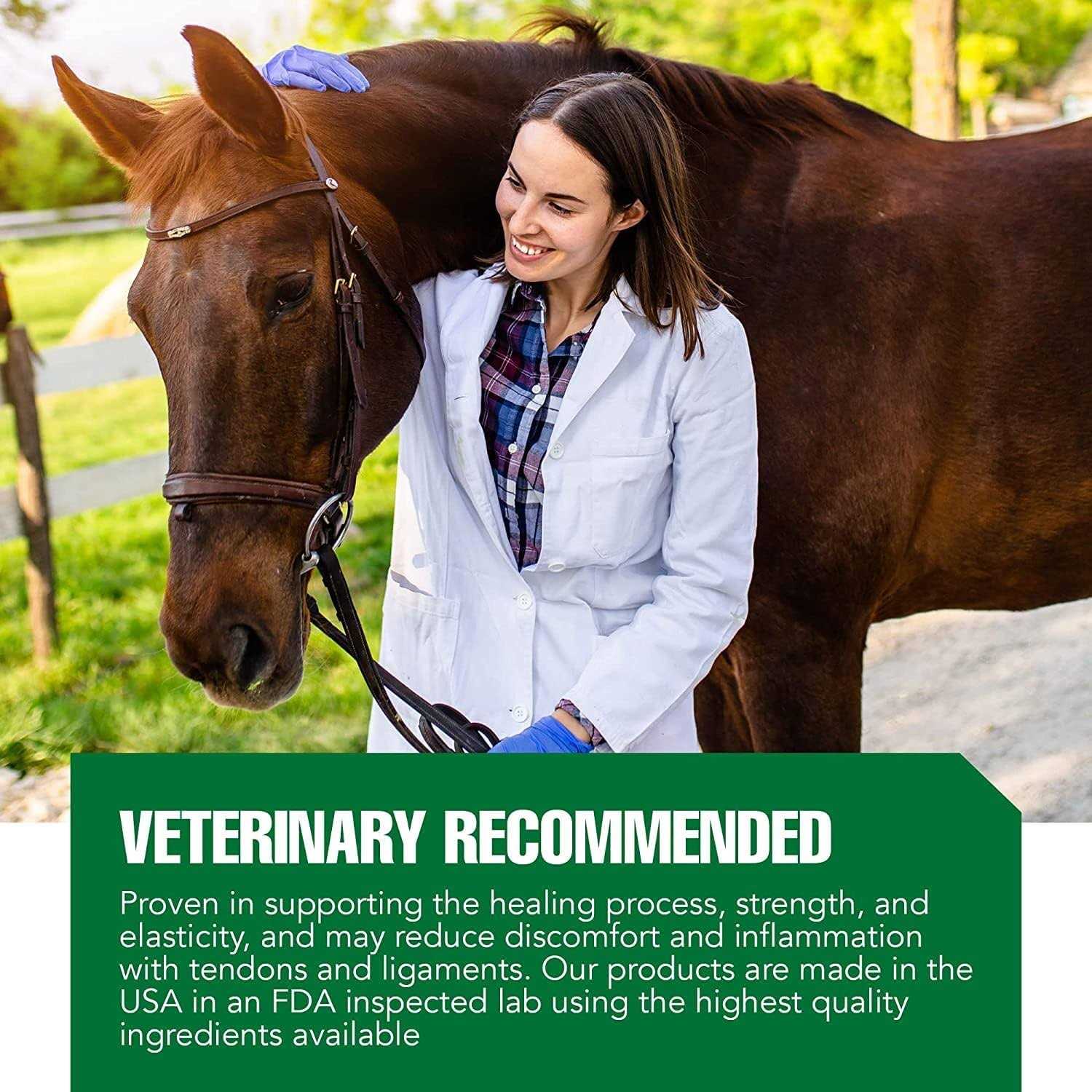 Ramard Total Tendon Repair - Sports Supplies Online Store