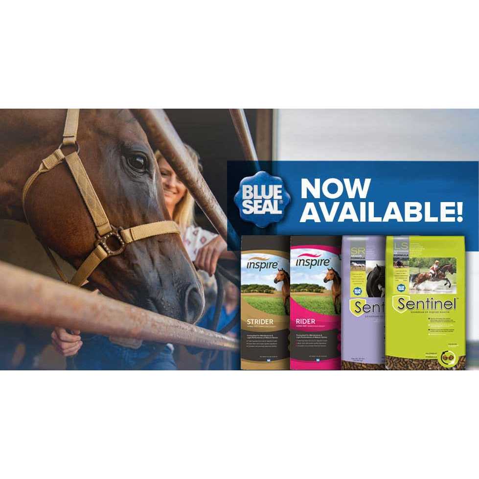 Blue Seal Inspire Hay Stretcher Large Pellet Horse Feed - Sports ...