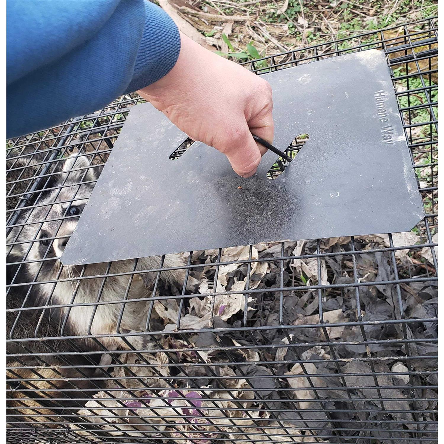 Humaneway Humane Way Folding Live Humane Animal Trap - Sports Supplies ...