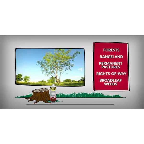 Stump Stop 32 oz. Cut Stump & Basal Bark Treatment - Sports Supplies ...