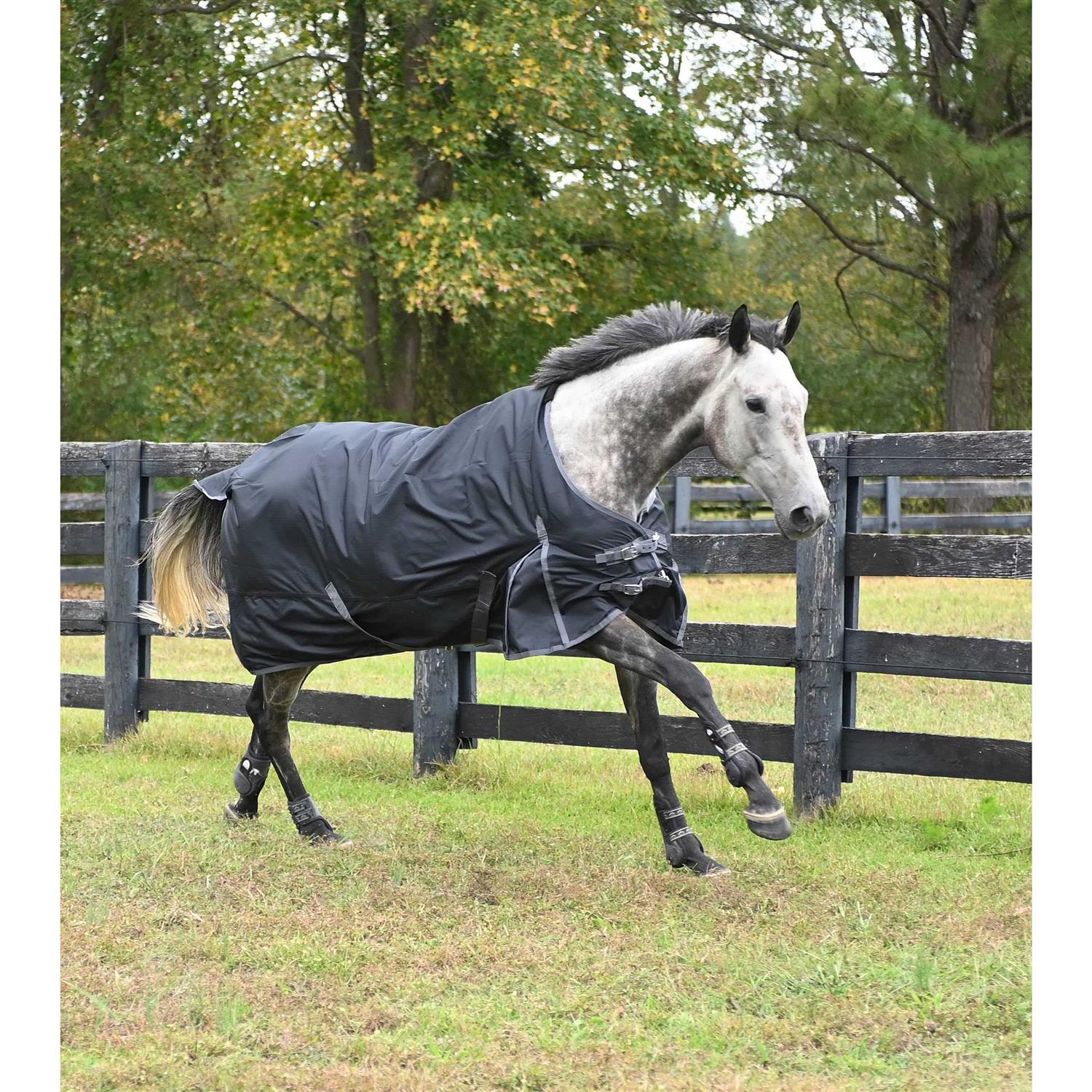 Gatsby 600D Waterproof Ripstop Turnout Sheet - Sports Supplies Online Store