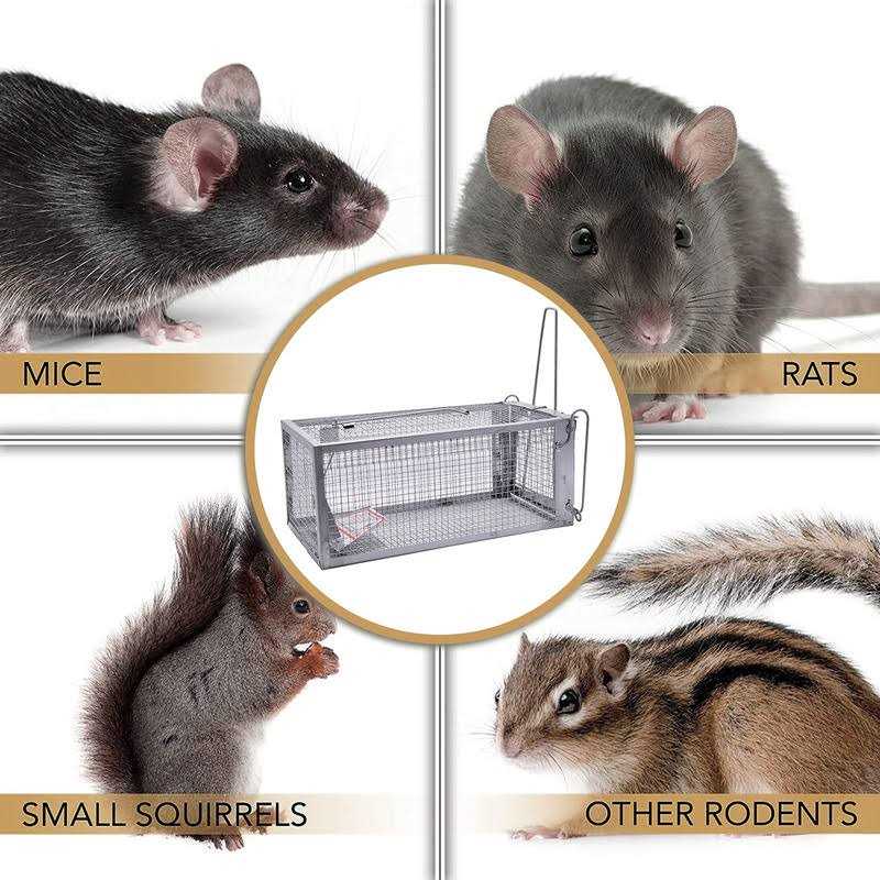 Predator Guard Squirrel Guard Trap Humane Multi-Catch Trap, Attracts & Catches Multiple ...