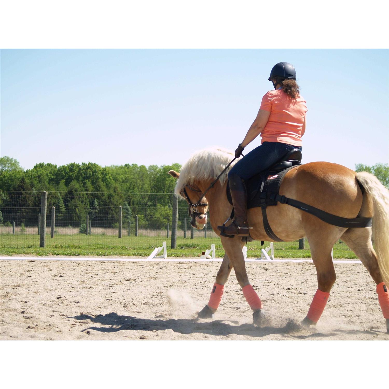 Equicore Complete Equiband System - Sports Supplies Online Store