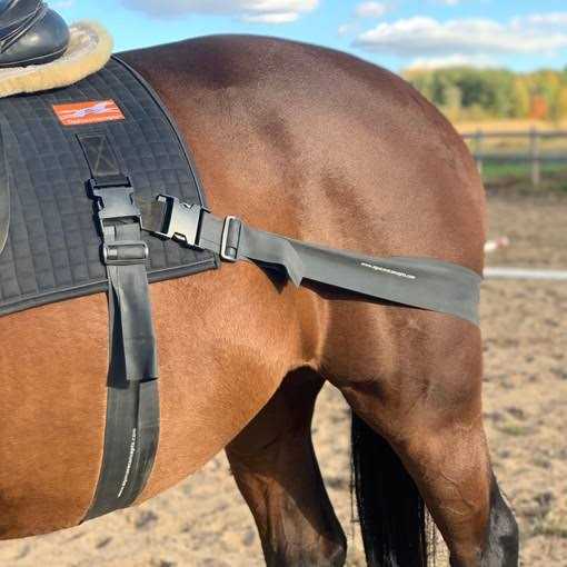 Equicore Complete Equiband System - Sports Supplies Online Store