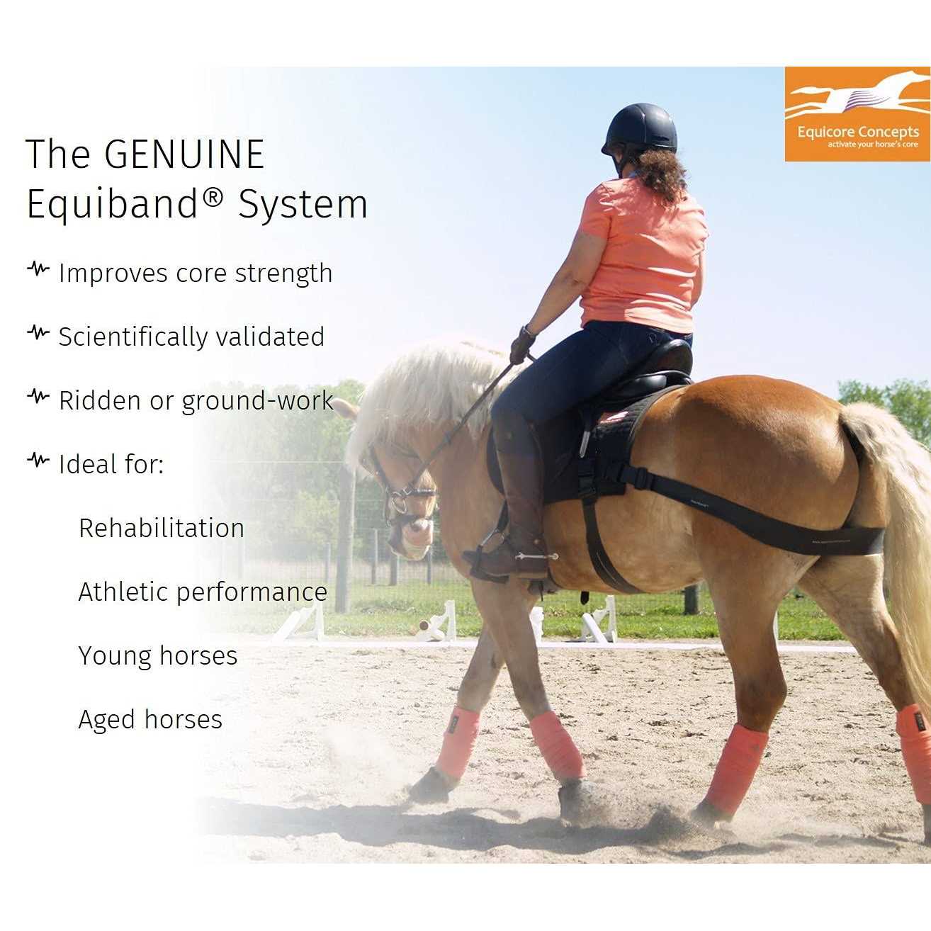 Equicore Complete Equiband System - Sports Supplies Online Store