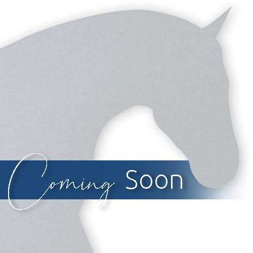 Equicore Complete Equiband System - Sports Supplies Online Store