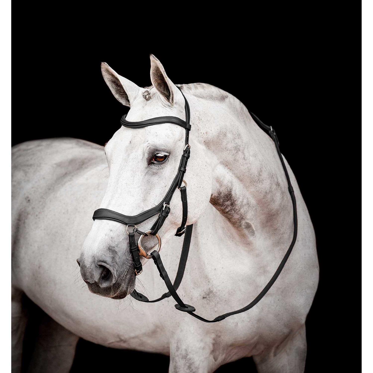 Horseware Micklem 2 Competition Bridle - Sports Supplies Online Store