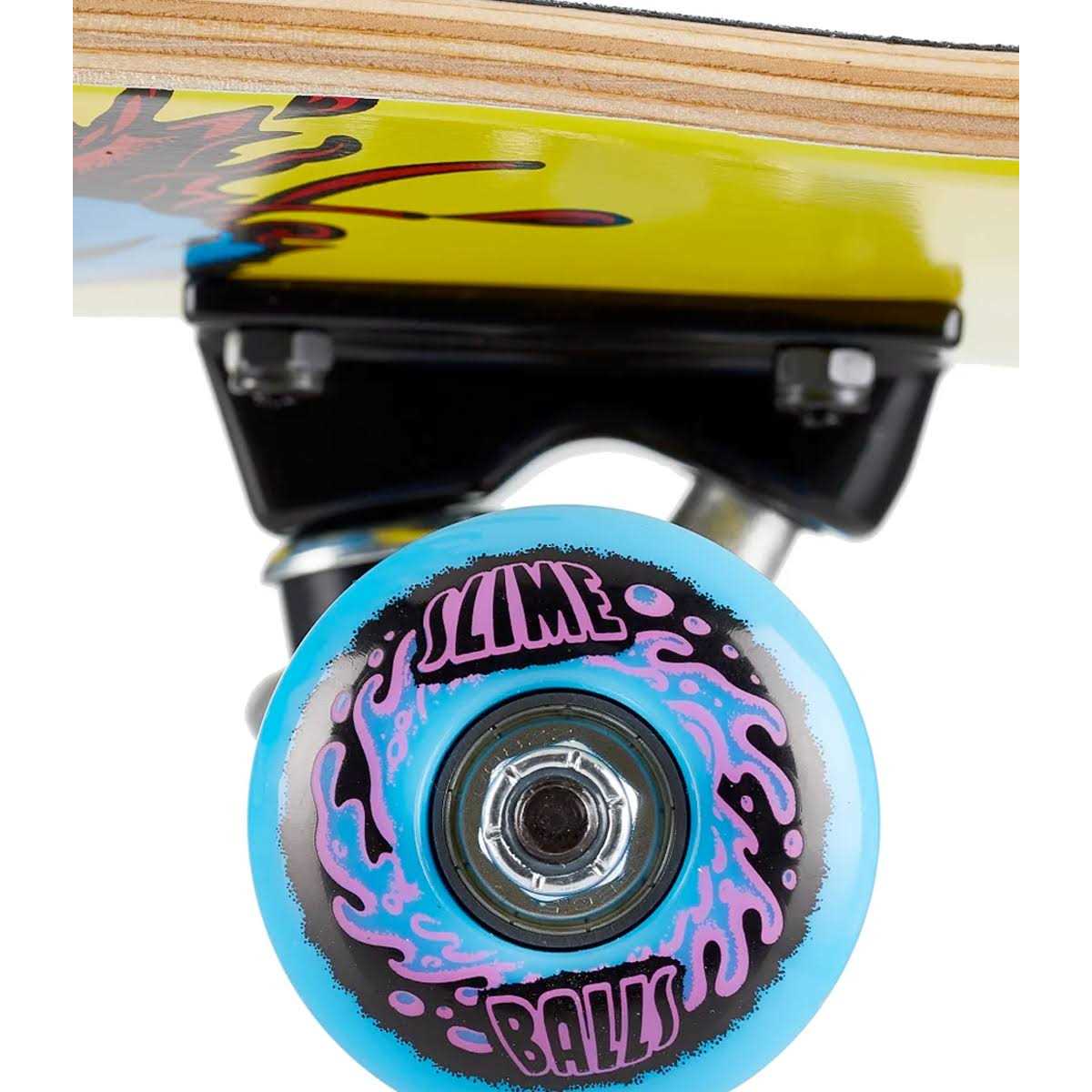 Santa Cruz Complete Skateboard - Sports Supplies Online Store