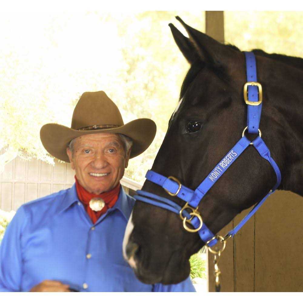 Monty Roberts Dually Schooling Halter - Sports Supplies Online Store