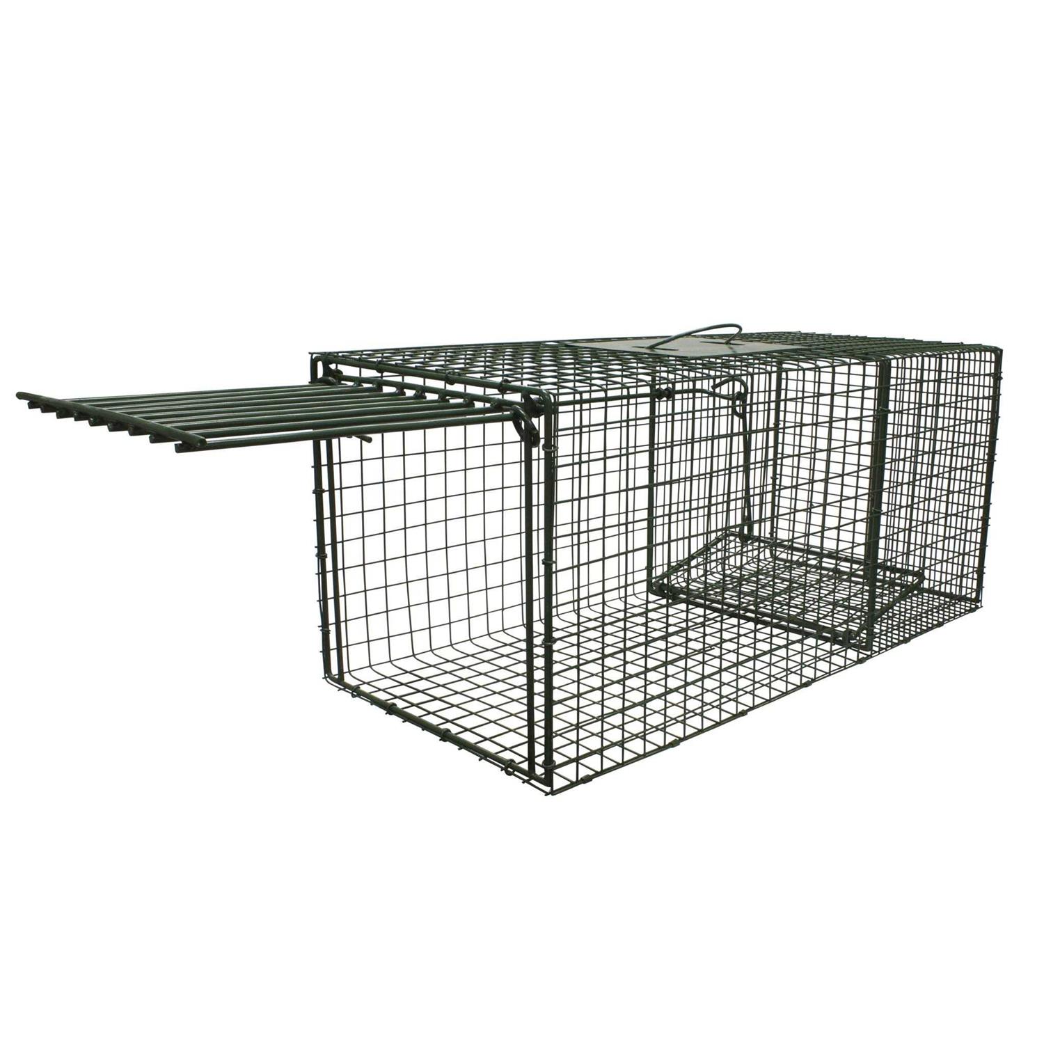 Duke Heavy Duty Cage Trap X-Large - Sports Supplies Online Store