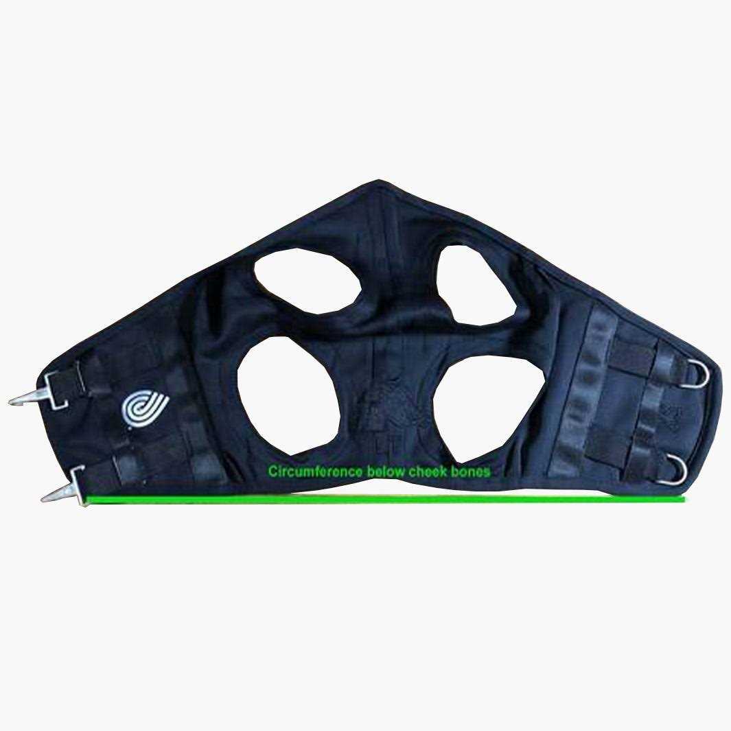 Fenwick Liquid Titanium Horse Mask - Sports Supplies Online Store