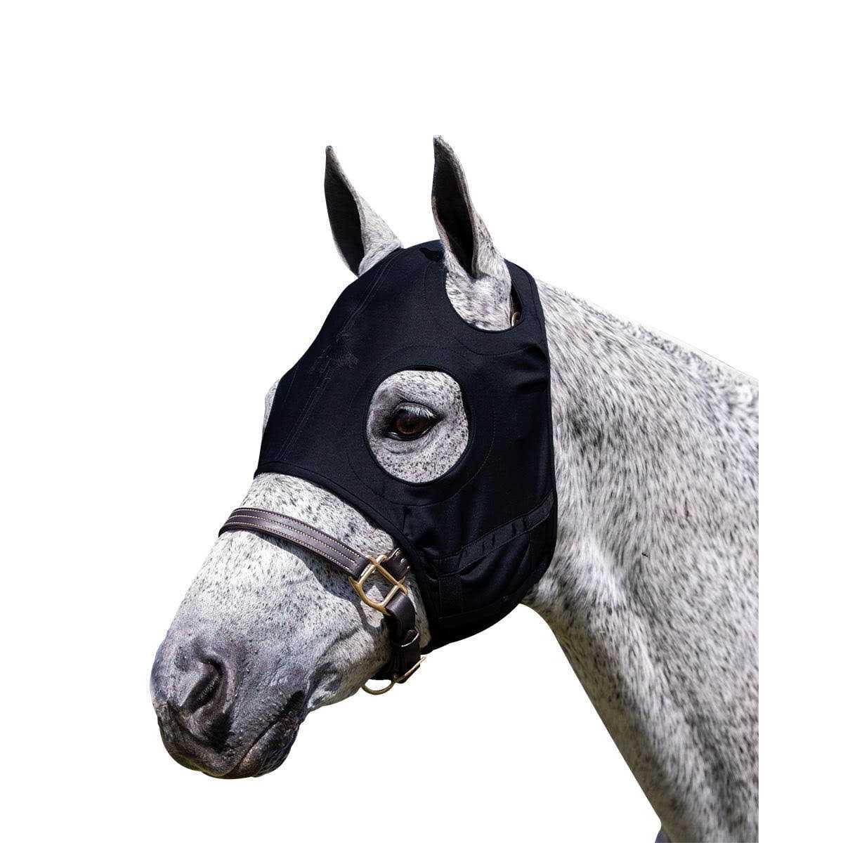 Fenwick Liquid Titanium Horse Mask - Sports Supplies Online Store