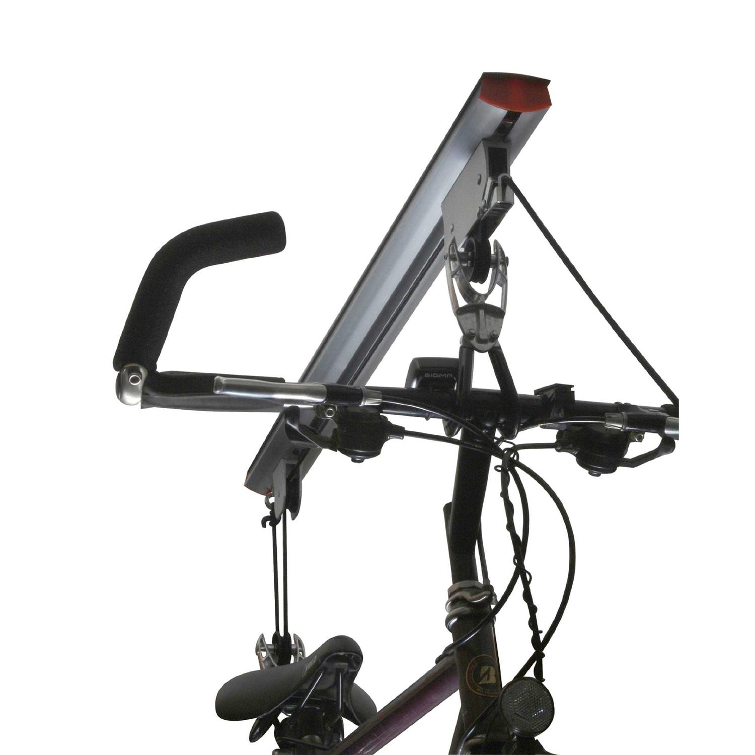 Rad Cycle Products Rail Mount Bike Hoist and Ladder Lift - Sports ...