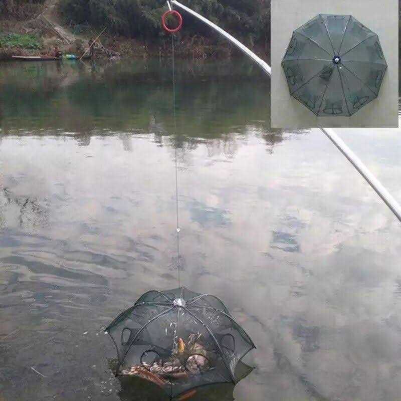 Pudong 2 Pack crawfish trap,Crab Fish trap,Foldable Fishing Bait trap ...