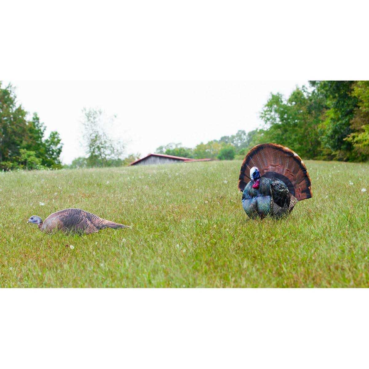 Montana Decoy Spring Fling Hen Decoy - Sports Supplies Online Store