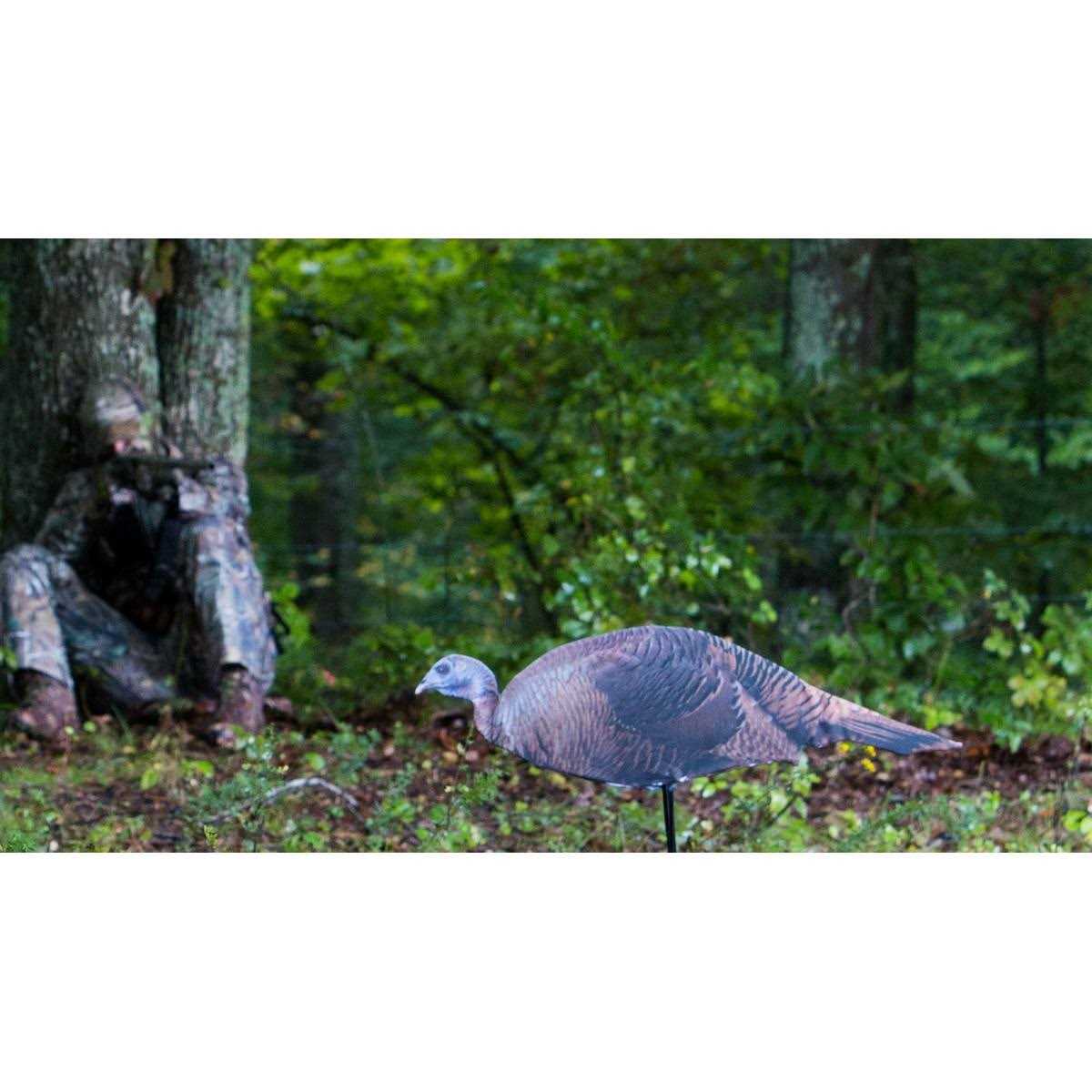 Montana Decoy Spring Fling Hen Decoy - Sports Supplies Online Store