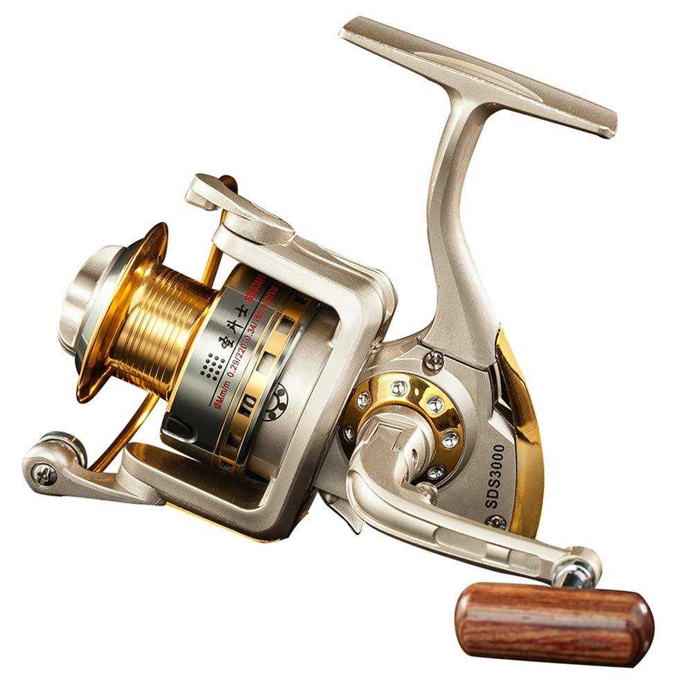 Diwa Spinning Fishing Reels for Saltwater Freshwater 1000 2000 3000 ...