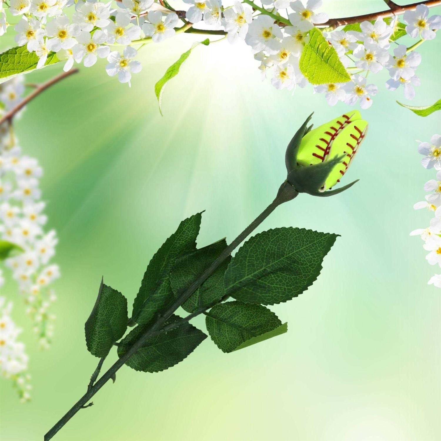 Kenz Laurenz Rose Sports Roses Flowers Gifts for Girls Mom Coach Team ...