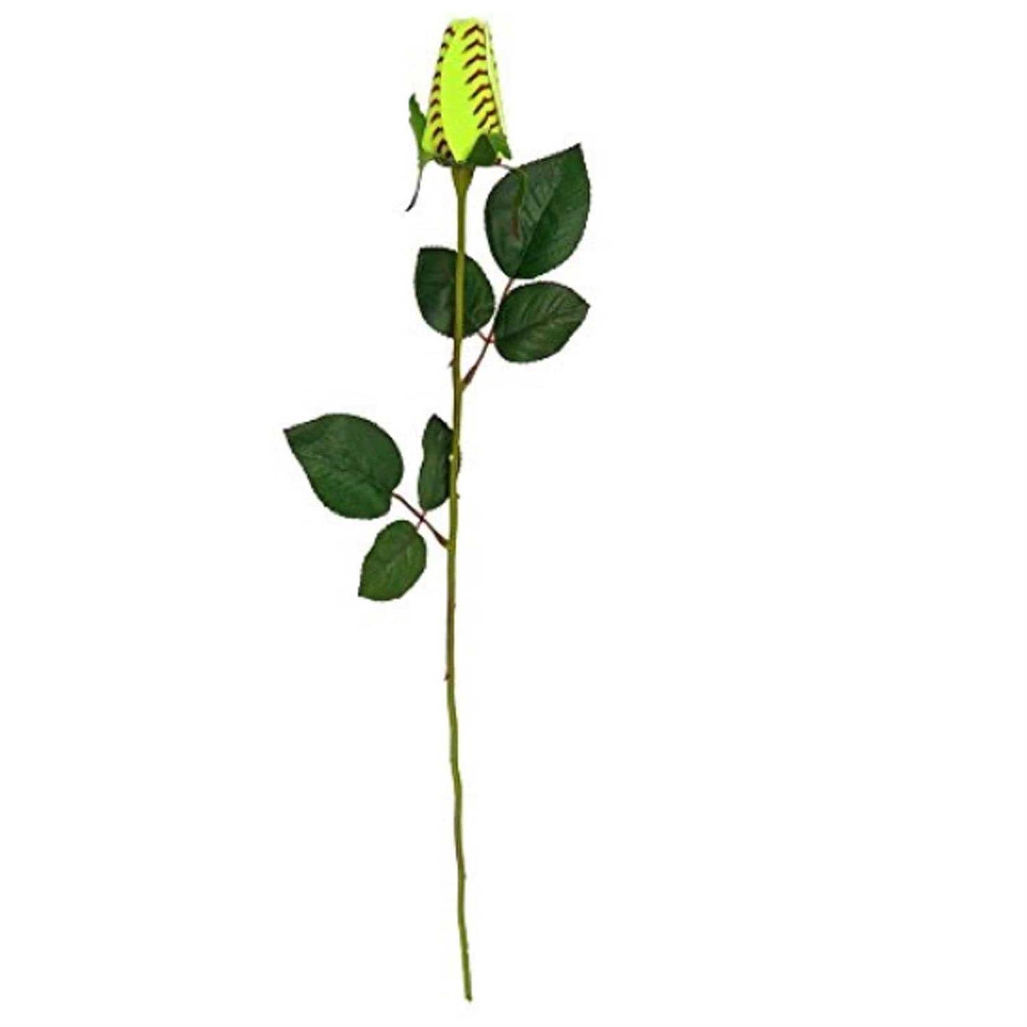 Kenz Laurenz Rose Sports Roses Flowers Gifts for Girls Mom Coach Team ...