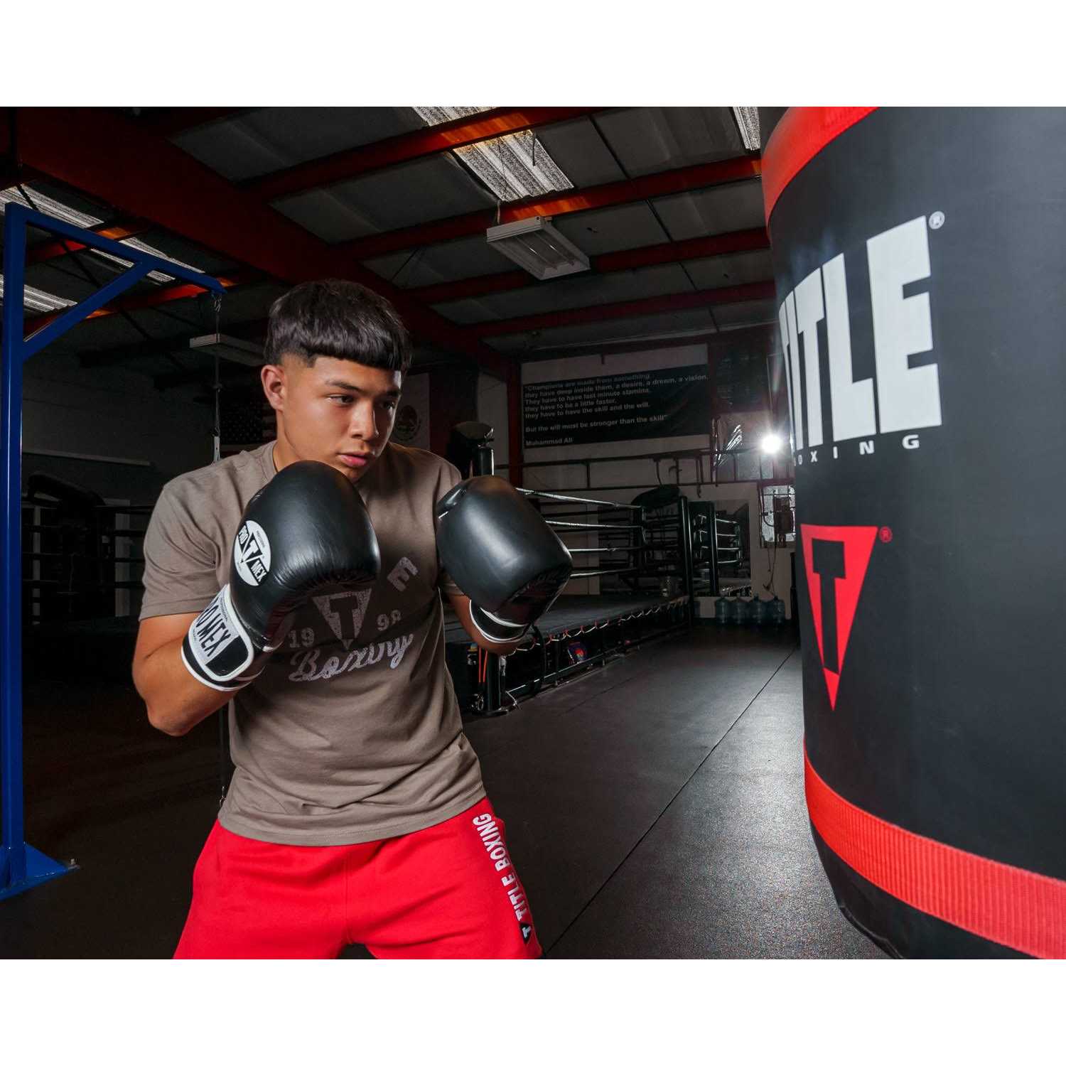 Pro Mex Professional Training Gloves 3.0 - Sports Supplies Online Store